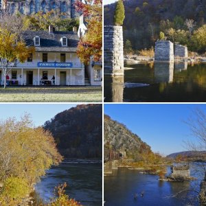 Member album (public) | DPReview Forums