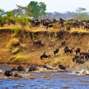 Member album (public) | DPReview Forums