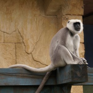 Member album (public) | DPReview Forums