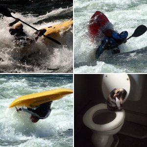 Member album (public) | DPReview Forums