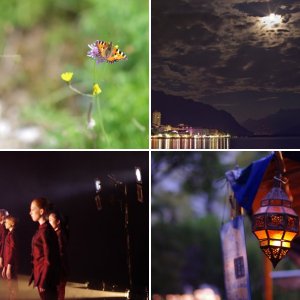 Member album (public) | DPReview Forums