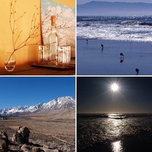 Olympus E-300/Nature/Other | DPReview Forums