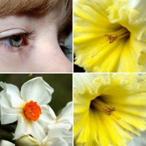 Macros with Vivitar Series 1 70-210mm f/3.5 Version 1 Kiron MF Macro | DPReview Forums