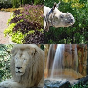 Cincinnati Zoo - 8-25-12 | DPReview Forums