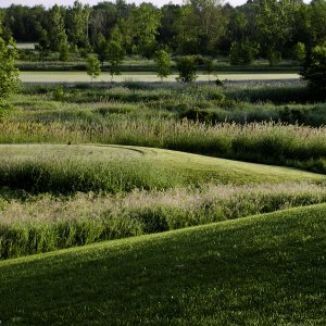 from-17-green | DPReview Forums