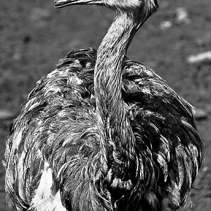 park-menachem | DPReview Forums