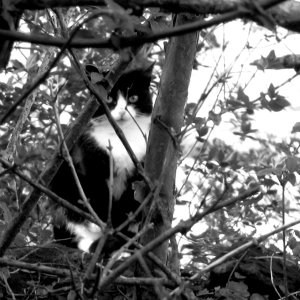 Black and White | DPReview Forums