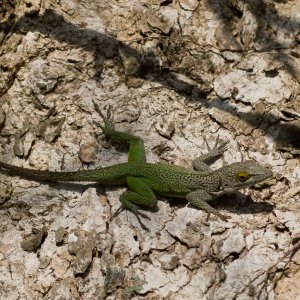 P4020402.web | DPReview Forums