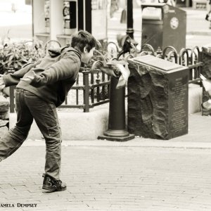 boston-2373 | DPReview Forums