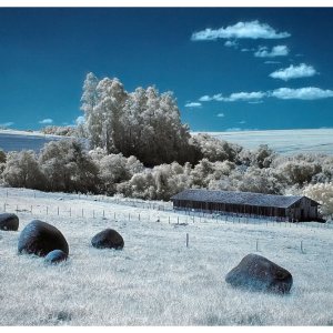 dpr SAM_2060 | DPReview Forums