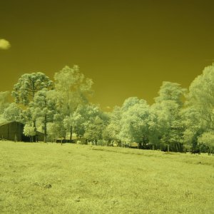 dpr SAM_2060 | DPReview Forums