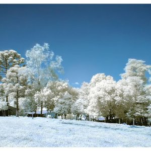 dpr SAM_2060 | DPReview Forums