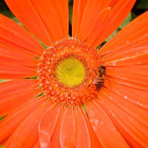 raw-files | DPReview Forums