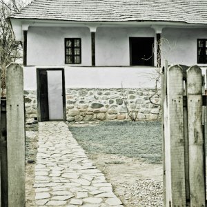 Gospodaria Stanesti, jud. Arges (sec. XIX) | DPReview Forums