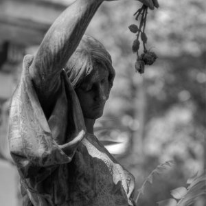 zuiko-75-150 | DPReview Forums