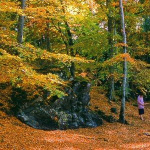 1958-60 | DPReview Forums