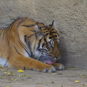 BATH TIME | DPReview Forums