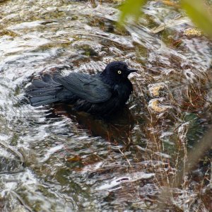 BATH TIME | DPReview Forums