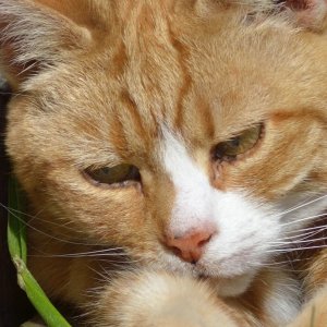 JC7_2474_sharp2 | DPReview Forums