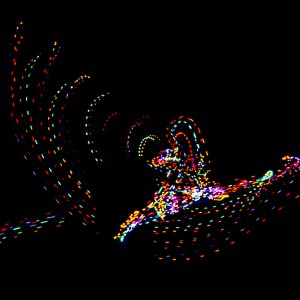 Light Staff back yard 1 | DPReview Forums