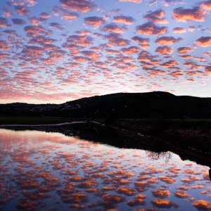 puzzle | DPReview Forums