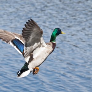 P5150056 | DPReview Forums