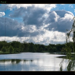 NG Park-3 | DPReview Forums