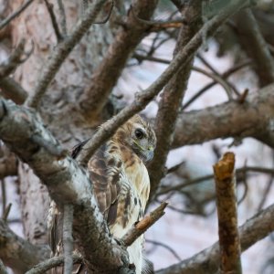 Mmmm ... Lunch | DPReview Forums