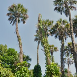 hdr-in-camera | DPReview Forums