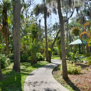 hdr-in-camera | DPReview Forums