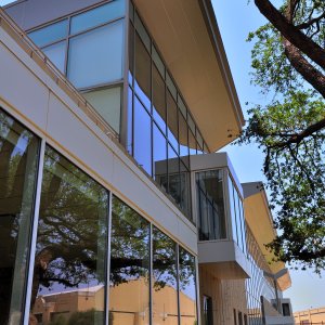 BRIT North Facade and Tree East | DPReview Forums