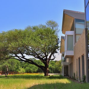 BRIT North Facade and Tree East | DPReview Forums