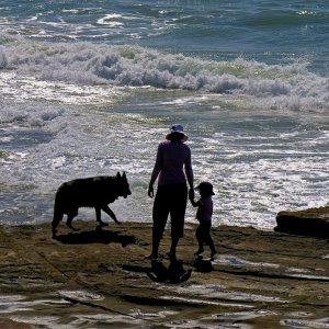 cotton-tree---maroochydore | DPReview Forums