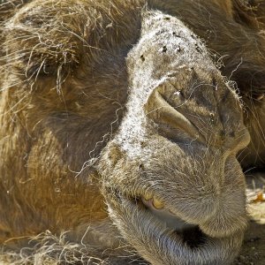 1814115664_818024efcf_b | DPReview Forums