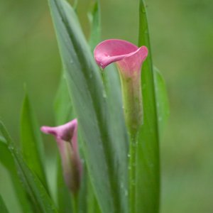 G5TX0575 | DPReview Forums