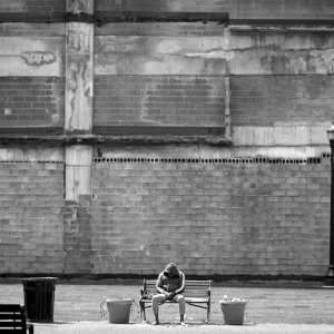 parades | DPReview Forums