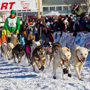 iditarod | DPReview Forums
