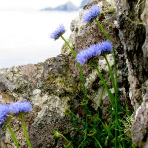 Dingle Peninsula | DPReview Forums