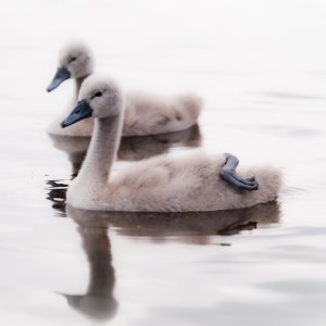 olympus-e-520 | Page 3 | DPReview Forums