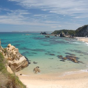 Bay | DPReview Forums