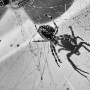 olympus-e-520 | Page 3 | DPReview Forums