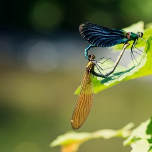 Love is everywhere | DPReview Forums