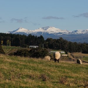 Glaziers Bay, Cygnet 005 | DPReview Forums