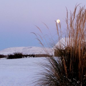 Snow in Dingle | DPReview Forums