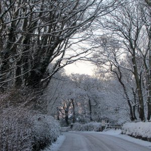 Snow in Dingle | DPReview Forums