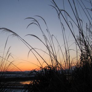 Snow in Dingle | DPReview Forums