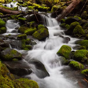 2011_5262576 | DPReview Forums