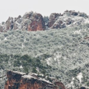 Snowed Dpreview Forums