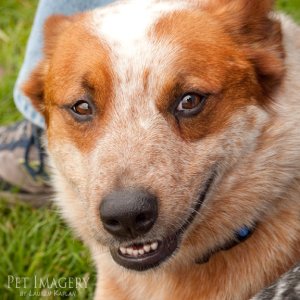 2011-CAS-Strut_5140542 | DPReview Forums