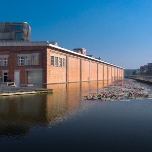 roombeek | DPReview Forums